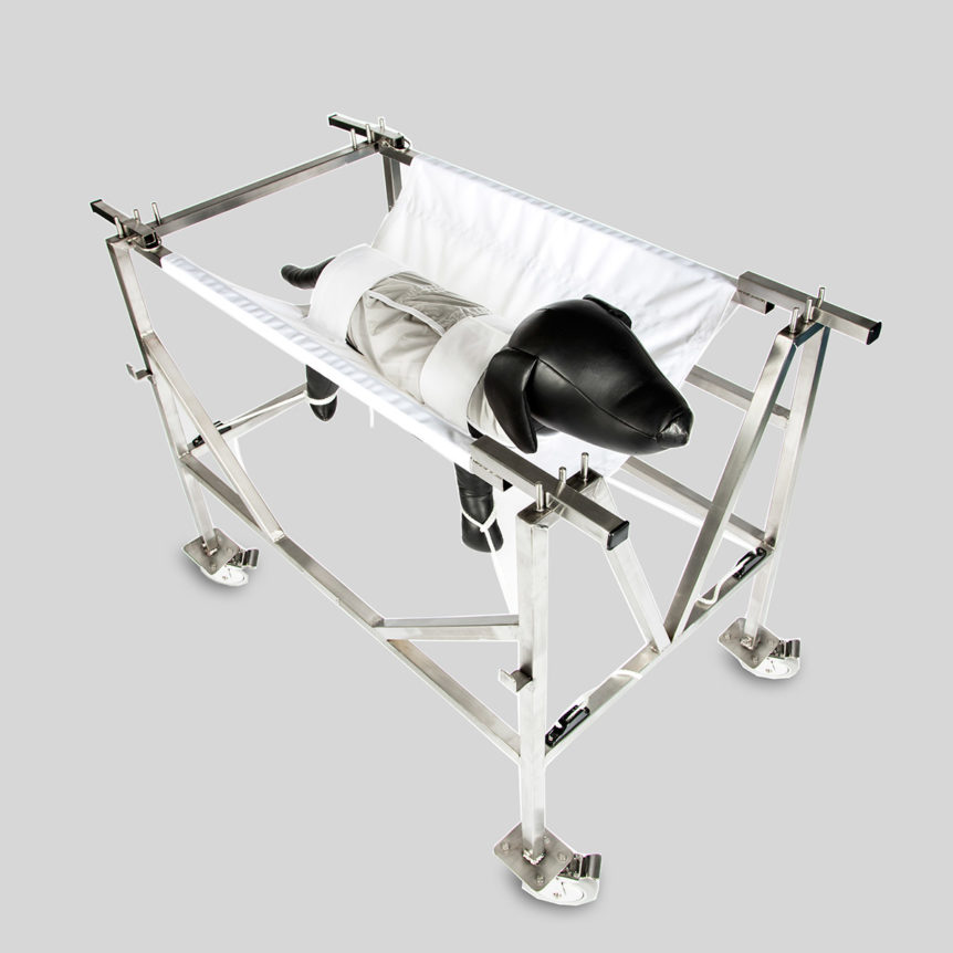 Restraint Frames & Covers for Dogs | Lomir Biomedical