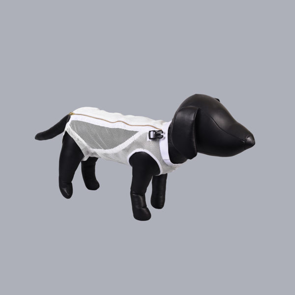 DOG JACKETS - For All Sizes & Procedures | Lomir Biomedical