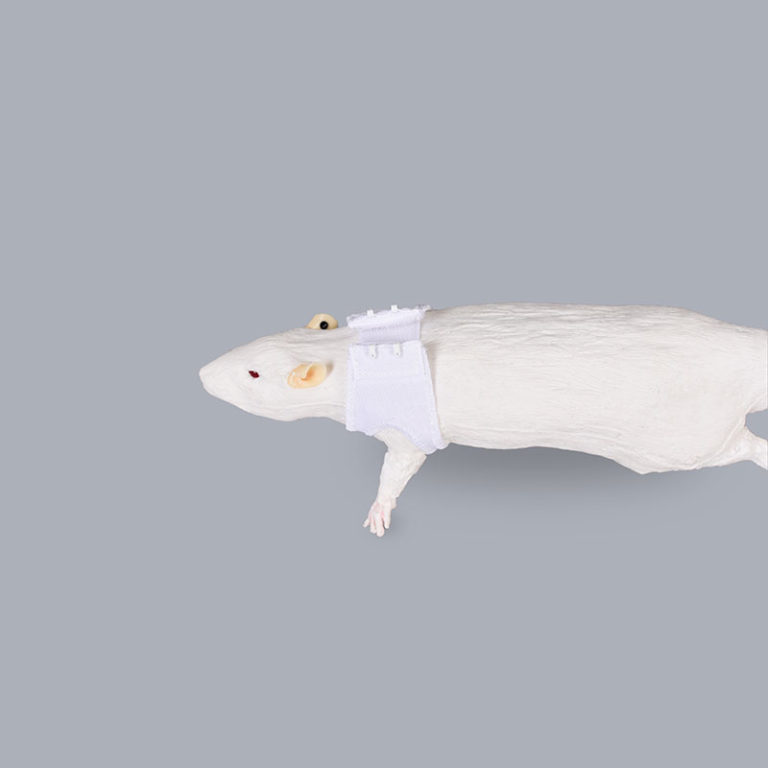 RAT JACKETS - For All Sizes & Procedures | Lomir Biomedical