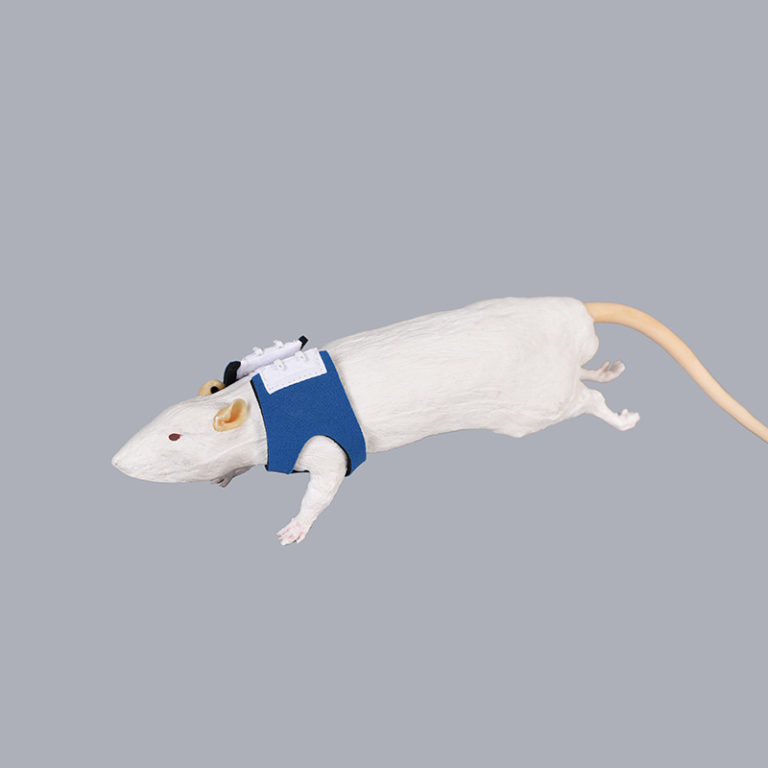 NEOPRENE RAT JACKET for all sizes | Lomir Biomedical