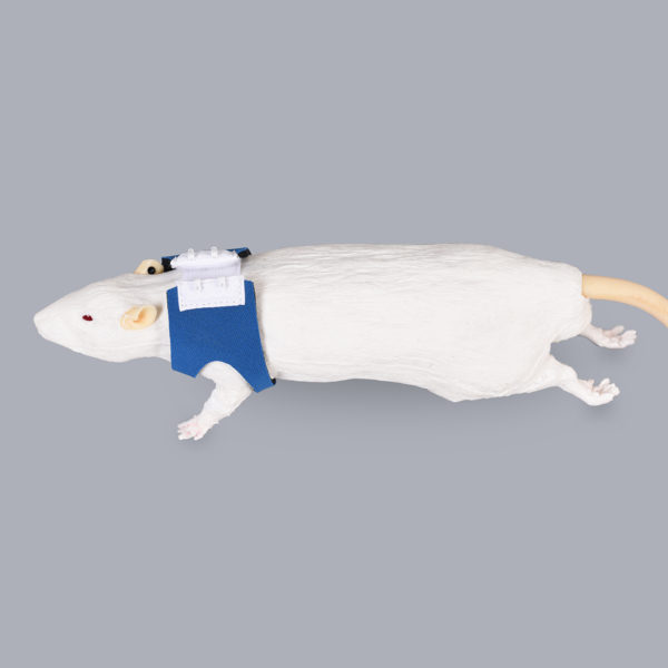 NEOPRENE RAT JACKET for all sizes | Lomir Biomedical