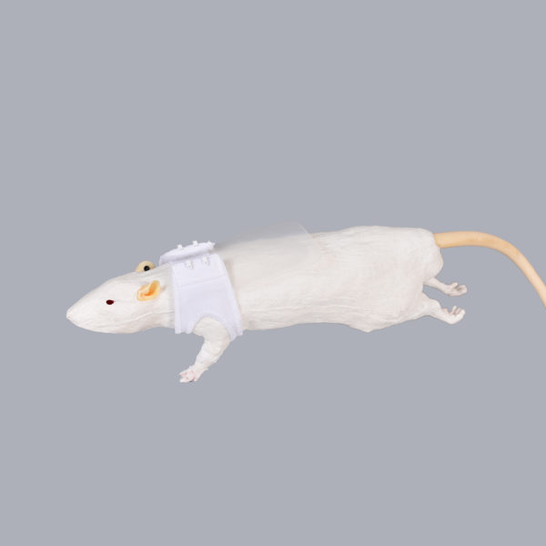 DERMAL INSERT for Rodent Jacket | Lomir Biomedical