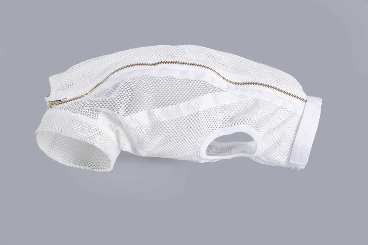 DOG JACKETS - For All Sizes & Procedures | Lomir Biomedical