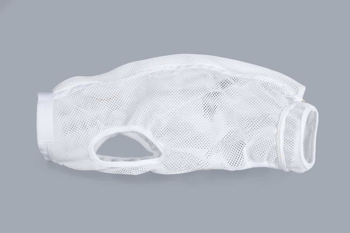 DOG JACKETS - For All Sizes & Procedures | Lomir Biomedical