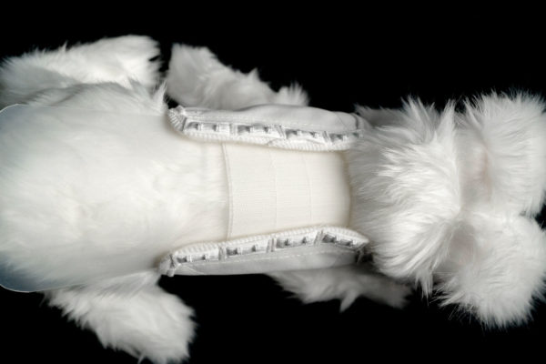 RABBIT DERMAL JACKET & INSERT | Lomir Biomedical